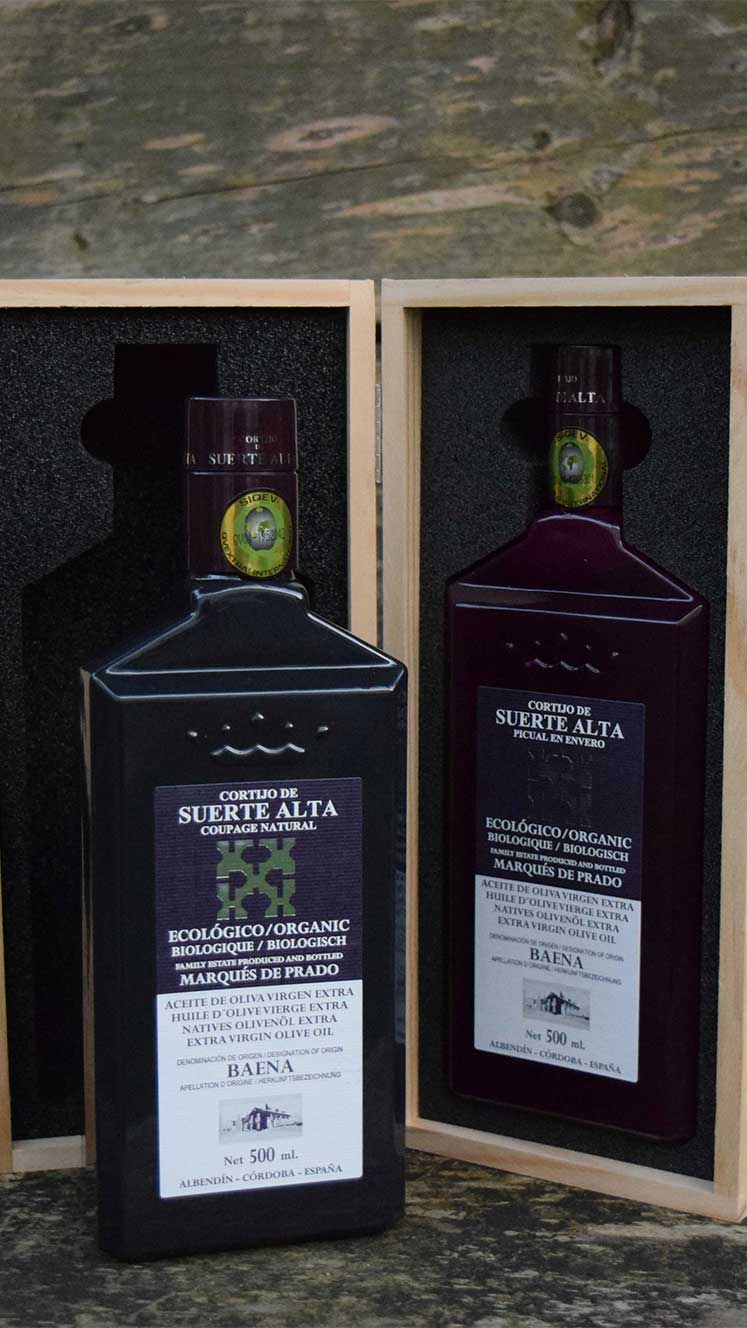 Store Home | Olive Oil Ireland